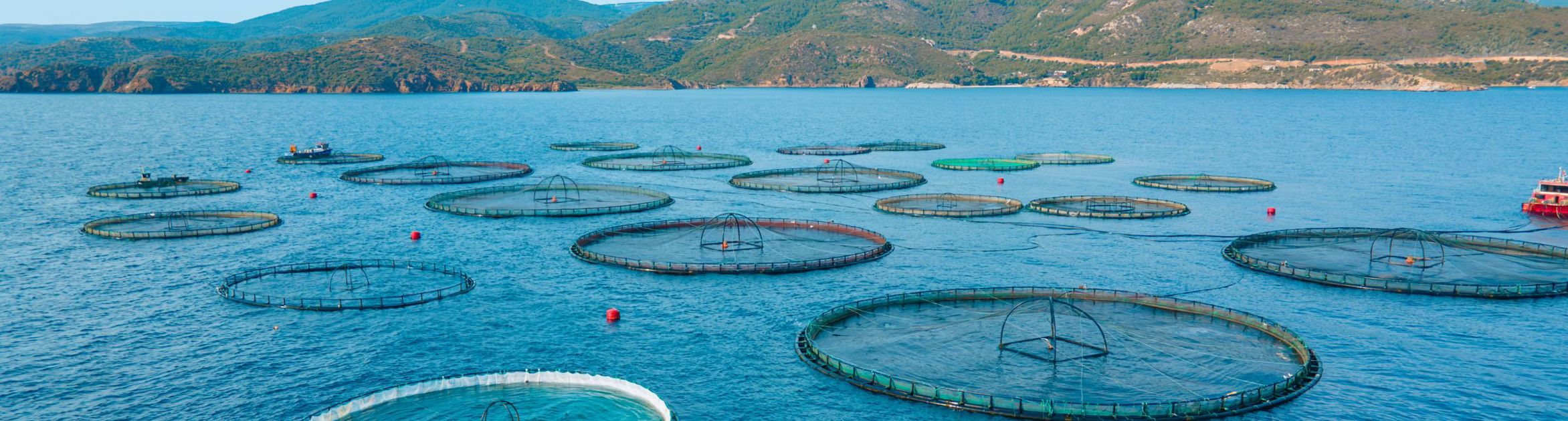 Aquaculture | Selko