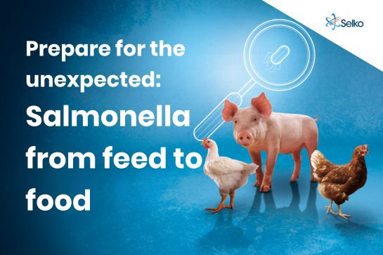 Selko's Global Salmonella Control Webinar | Selko
