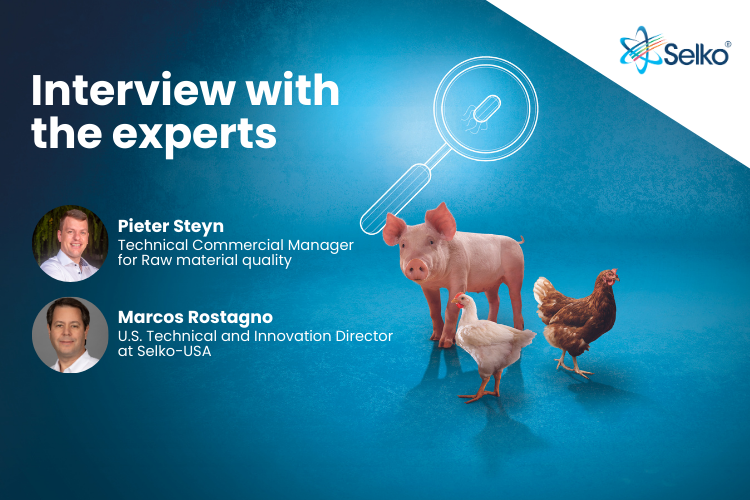Interview with the experts | Selko