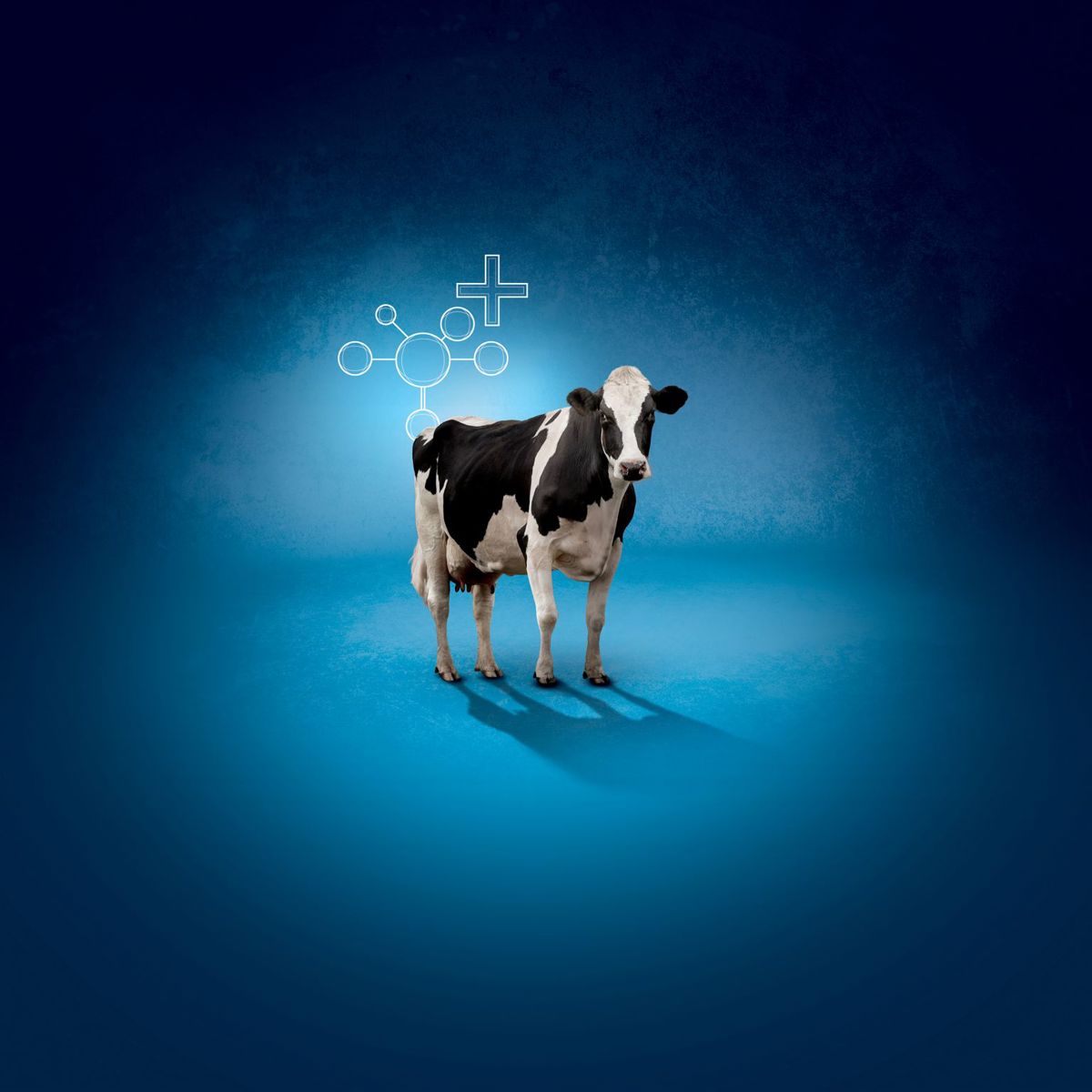 Renergy™ | Selko USA